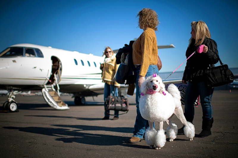 Services | Starjet, Inc.